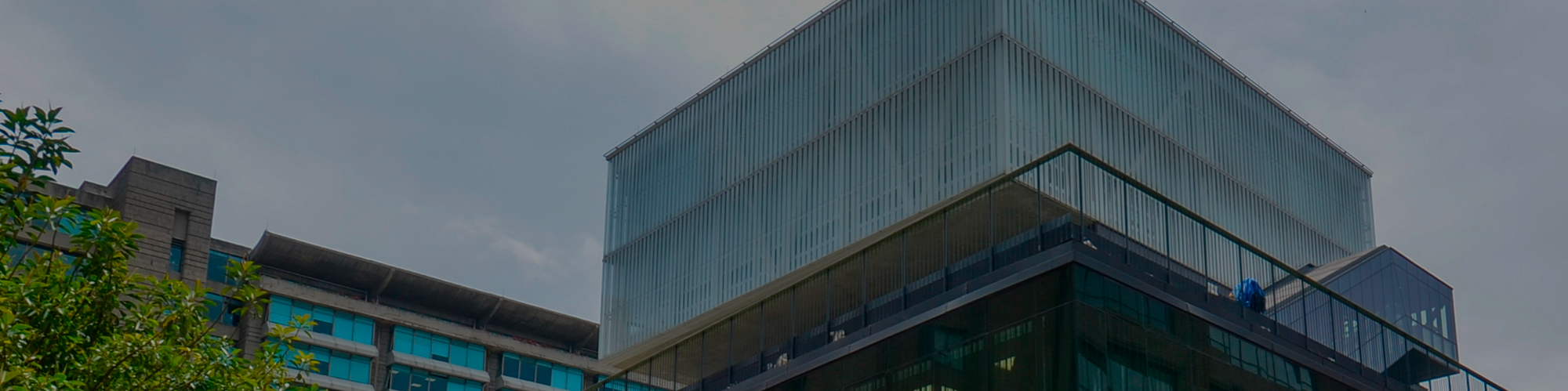Facultad de Ingeniería - Pontificia Universidad Javeriana